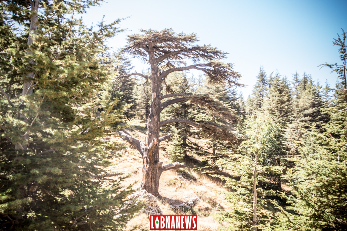 La Journée de la Terre et le Liban